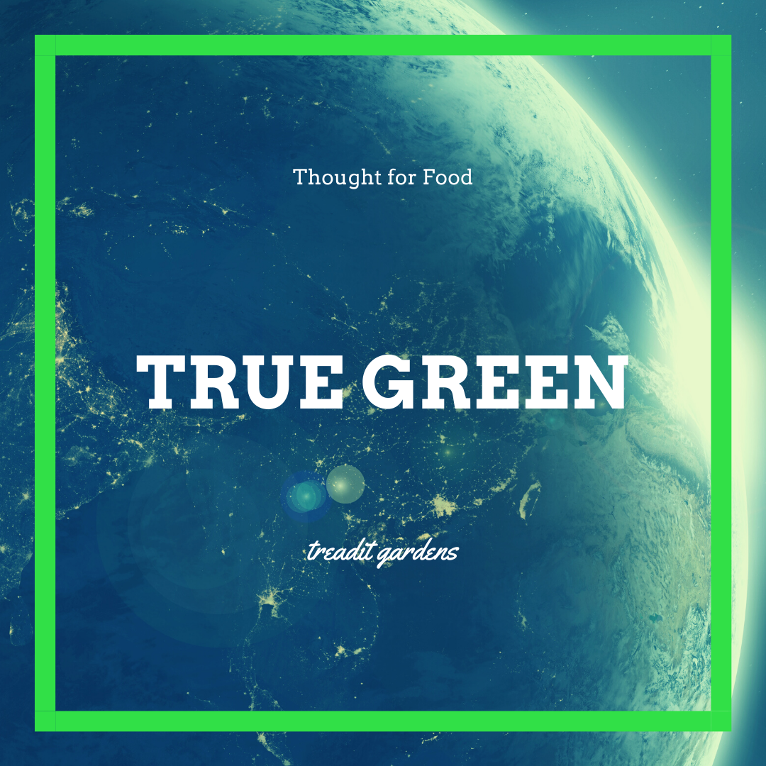 True Green – Treadit Gardens